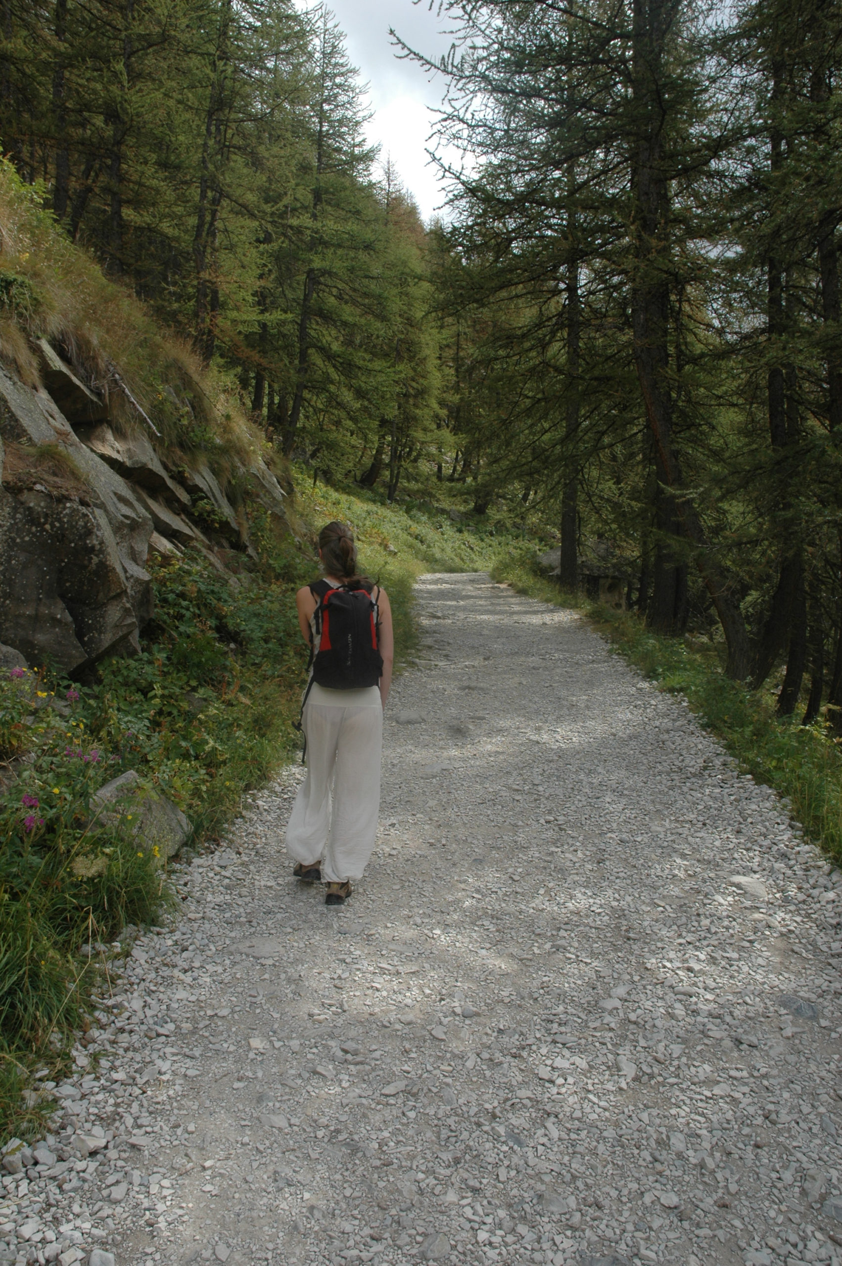 Marche dans la nature – Soin de Soi